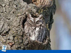 Why Change Fails: The Hidden Root Cause at the Frontline | Ideas to Action